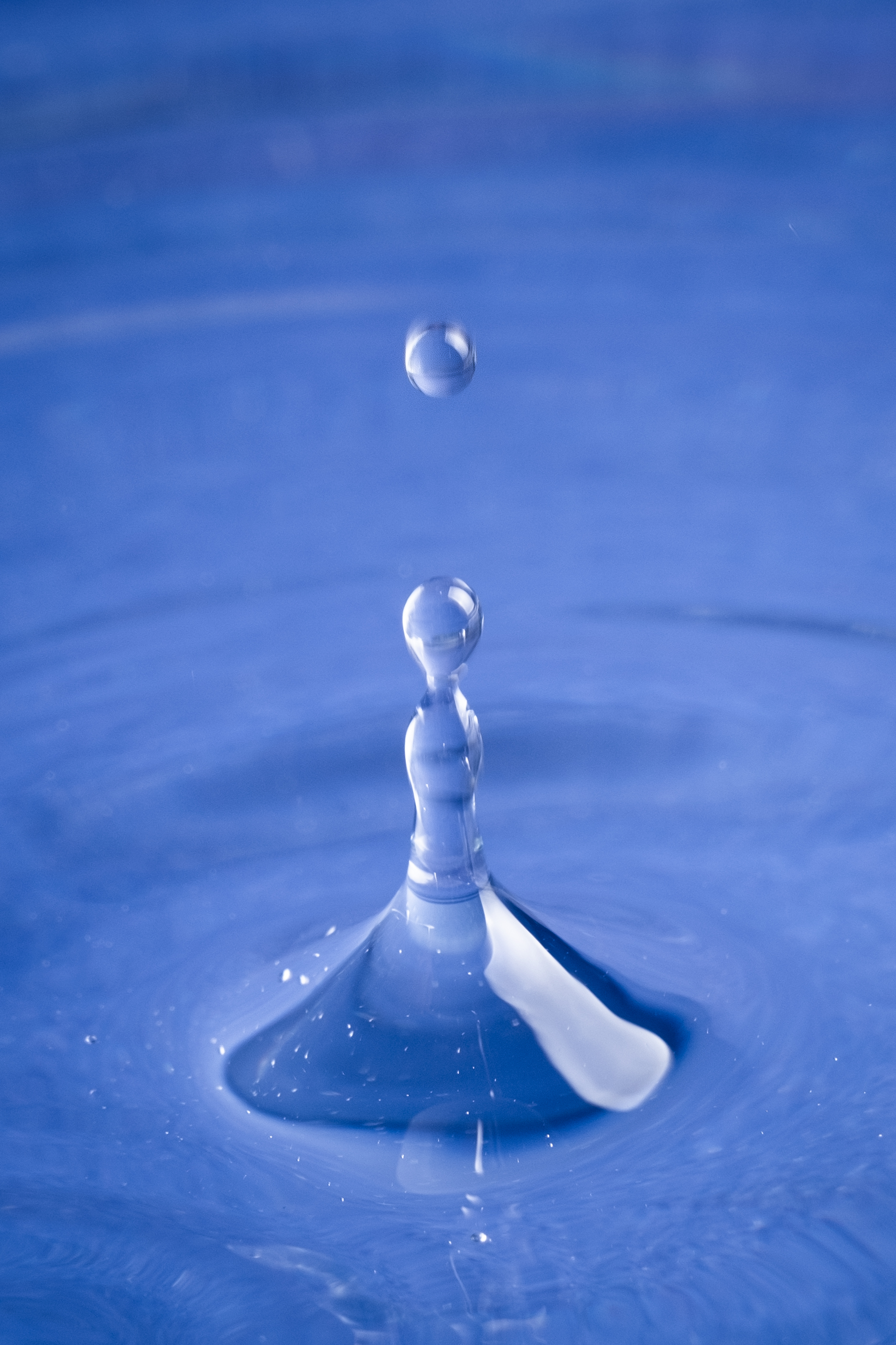 Droplet – Photographs by Roy Tanck